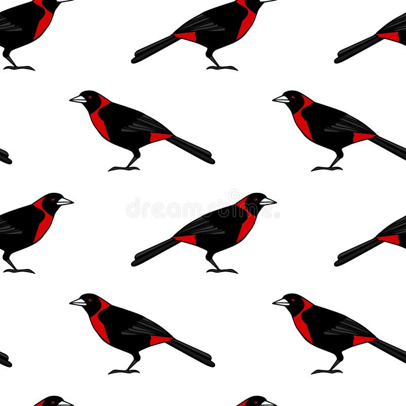 Hand drawn bird pattern stock vector. Illustration of plumage - 138829352