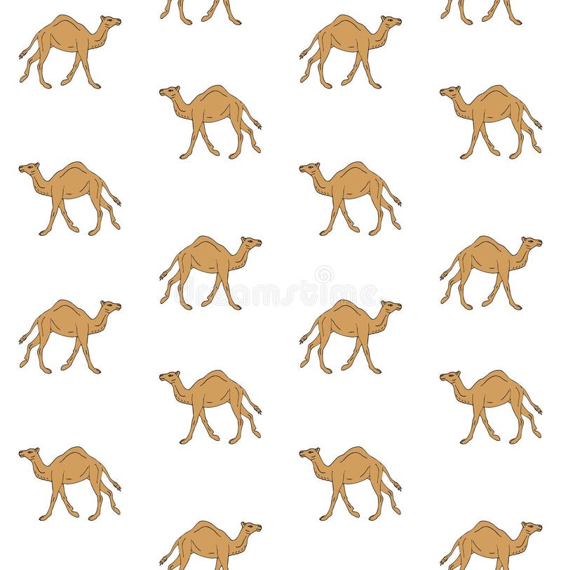 Vector Seamless Pattern of Hand Drawn Camel Stock Illustration ...