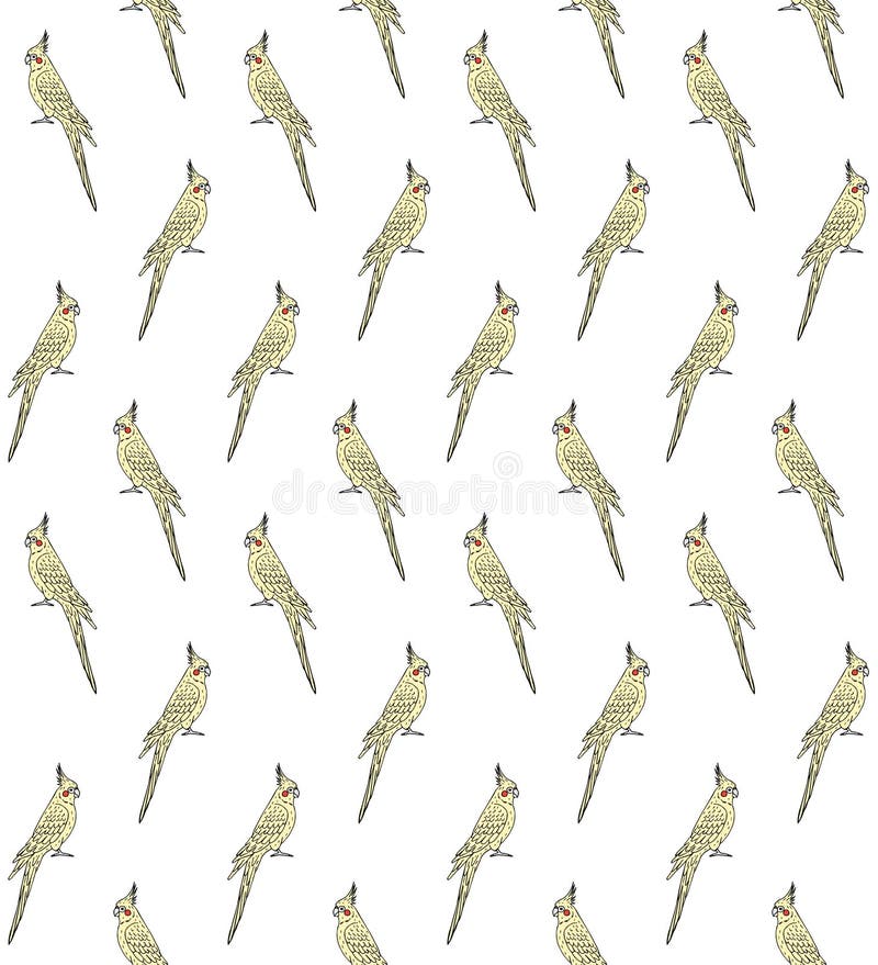 Vector Seamless Pattern of Hand Drawn Cockatiel Stock Vector ...
