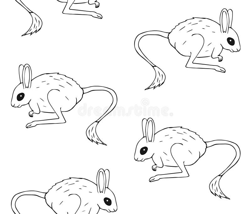 Jerboa Drawing Stock Illustrations – 190 Jerboa Drawing Stock ...