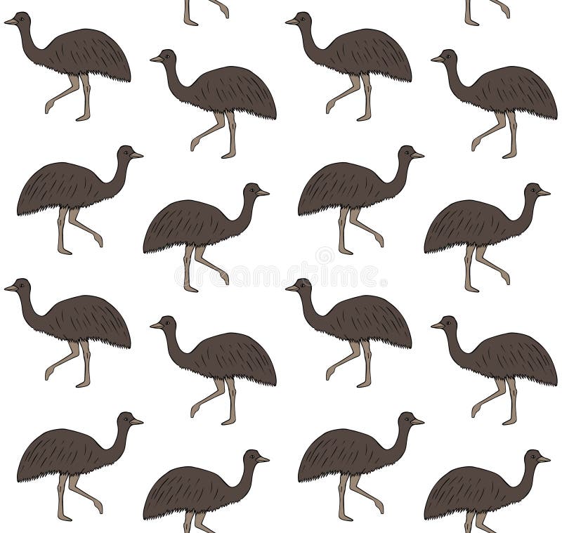 Colored Emu Stock Illustrations – 139 Colored Emu Stock Illustrations ...