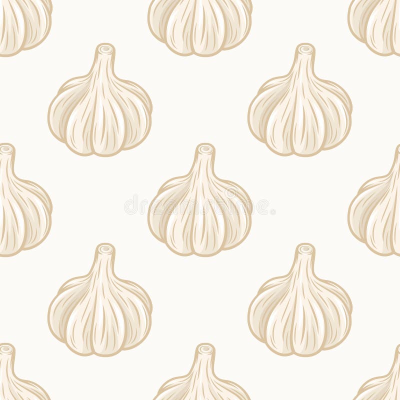 Vector Seamless Pattern with Hand Drawn Garlic Bulb on White Background ...