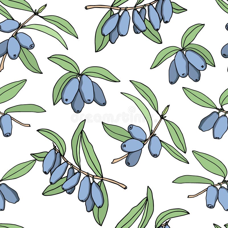 Hand Drawn Honeysuckle Pattern Stock Vector - Illustration of floral ...