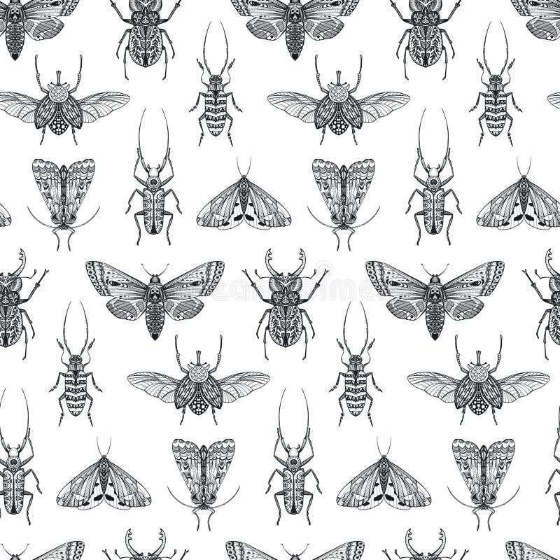 Vector Seamless Pattern with Hand Drawn Insects. Entomological Magical ...