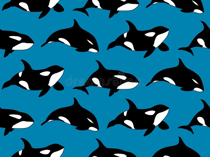 Orca Killer Whale Swimming Stock Illustrations – 763 Orca Killer Whale ...
