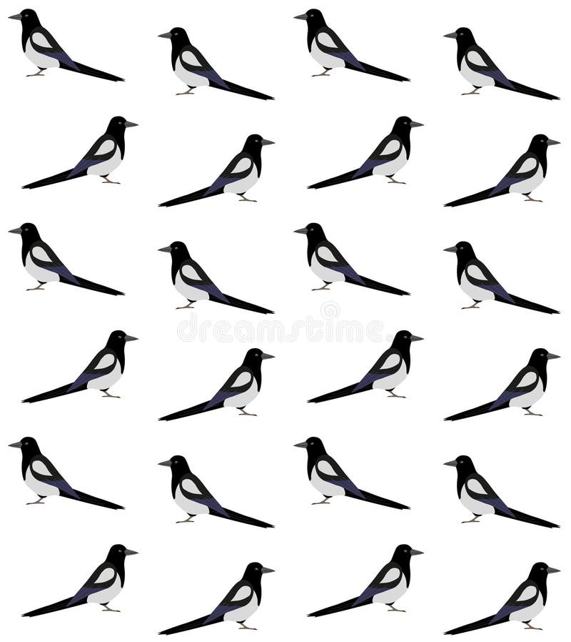 Vector Seamless Pattern of Hand Drawn Magpie Bird Stock Illustration ...