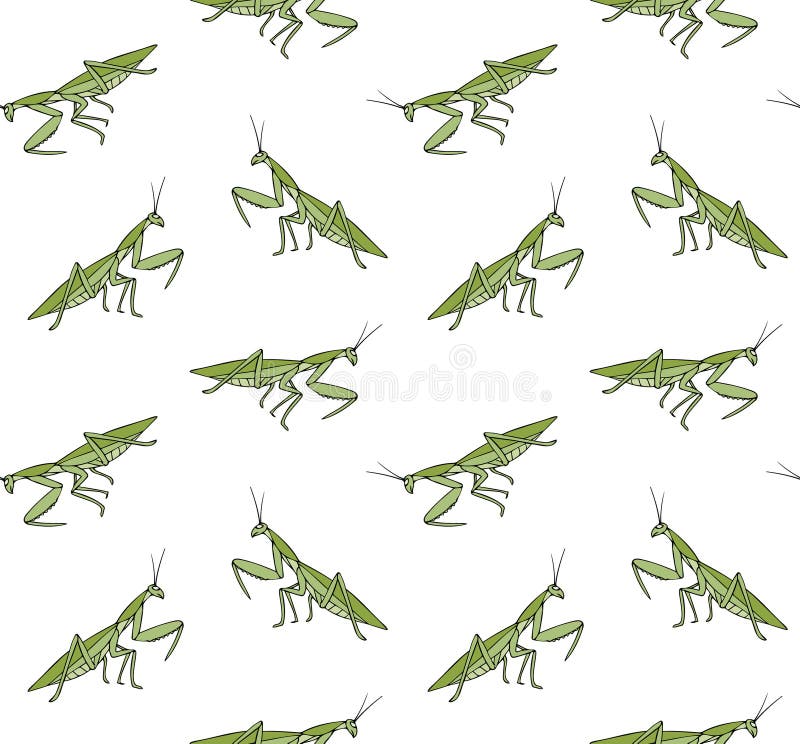 Vector Seamless Pattern of Hand Drawn Mantis Stock Vector ...