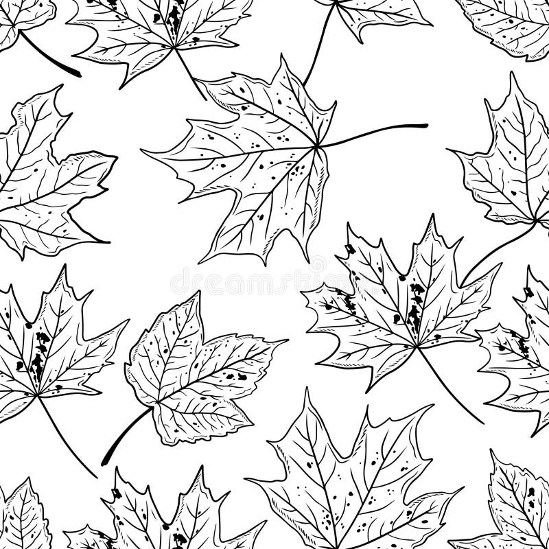 Vector Seamless Pattern with Hand Drawn Maple Leaves in Various Sizes ...