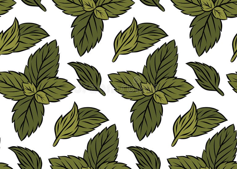 Vector Image Mint Leaves Stock Illustrations – 15,388 Vector Image Mint ...