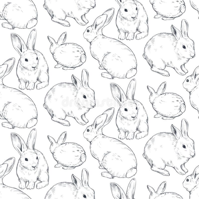 Realistic Rabbits Stock Illustrations – 412 Realistic Rabbits Stock ...
