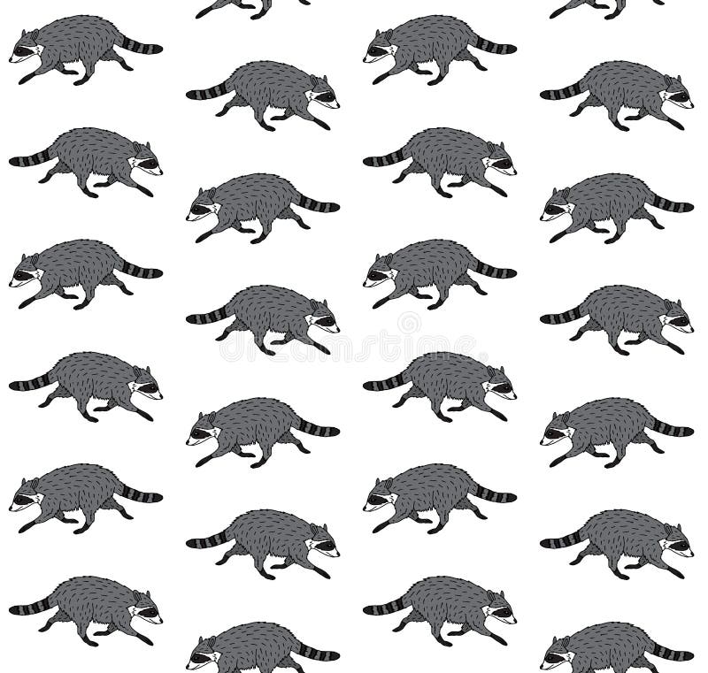 Sketch Raccoon Face. Hand Drawn Vector Doodle Stock Vector ...