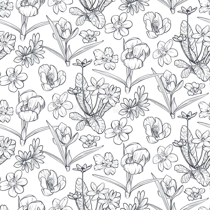 Vector Seamless Pattern with Hand Drawn Spring Flowers and Leaves Stock ...