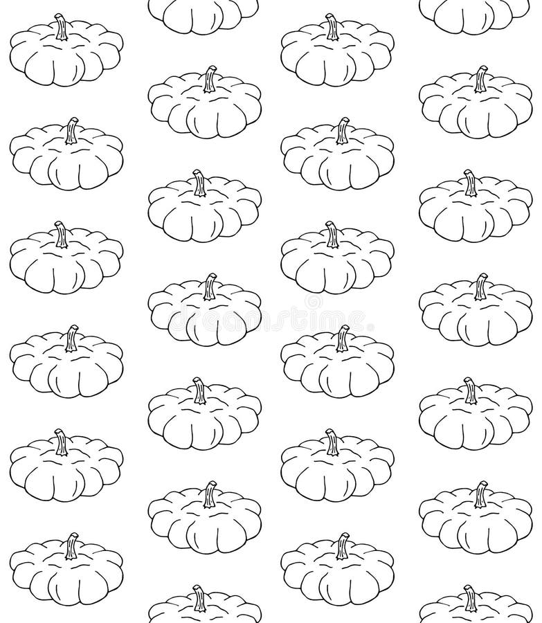 Vector Seamless Pattern of Hand Drawn Squash Stock Vector ...