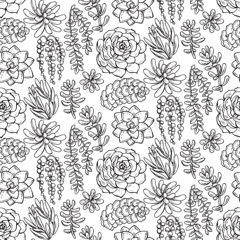 Succulent Line Art Stock Illustrations – 9,056 Succulent Line Art Stock ...
