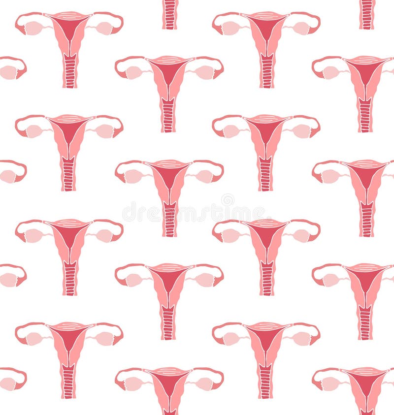 Sketch Uterus Stock Illustrations – 425 Sketch Uterus Stock ...