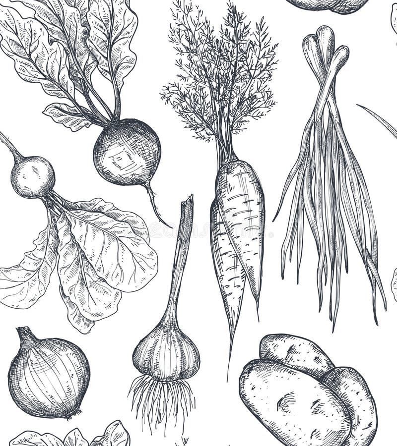 Vector Seamless Pattern with Hand Drawn Vegetables Stock Vector ...