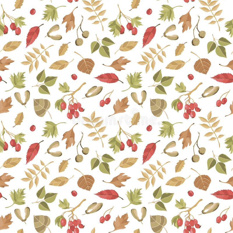 Vector Seamless Pattern of Hawberry Branches, Berries and Fall Leaves ...