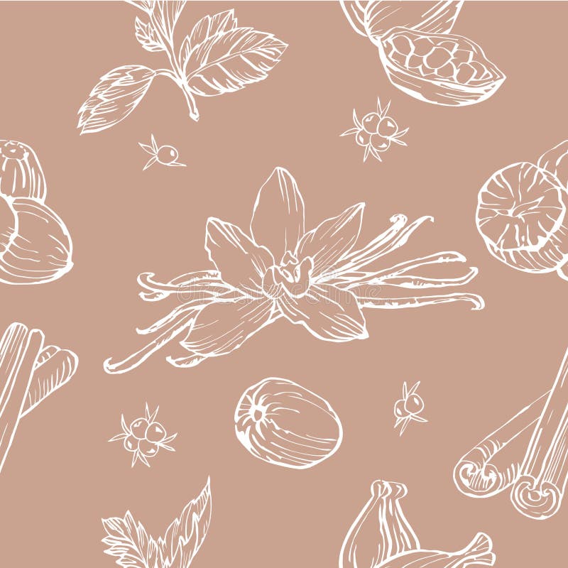 Vector Seamless Pattern with Herbs and Spices. Modern Stylish Texture ...