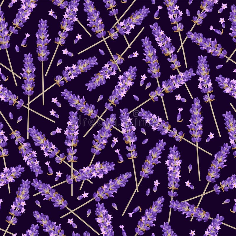 Vector Seamless Pattern with High Detail Lavender Stock Photo - Image ...