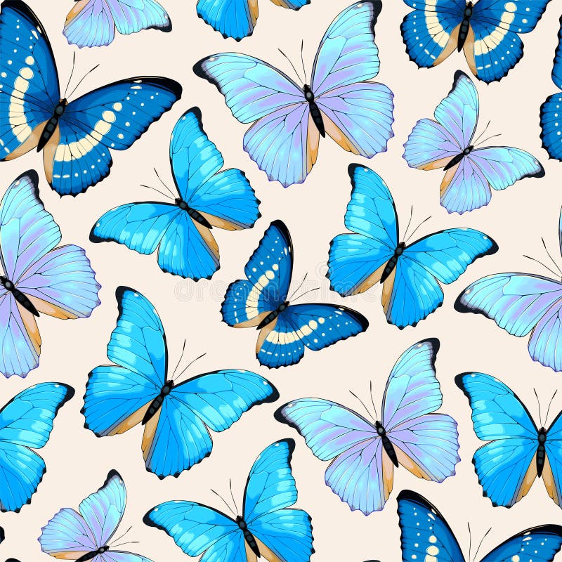 Vector Pattern with High Detailed Tropic Butterfly Stock Vector ...