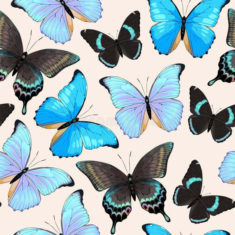 Vector Pattern with High Detailed Tropic Butterfly Stock Vector ...