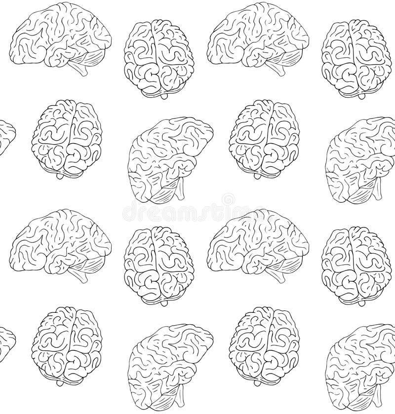 Vector Seamless Pattern of Human Brain Stock Vector - Illustration of ...