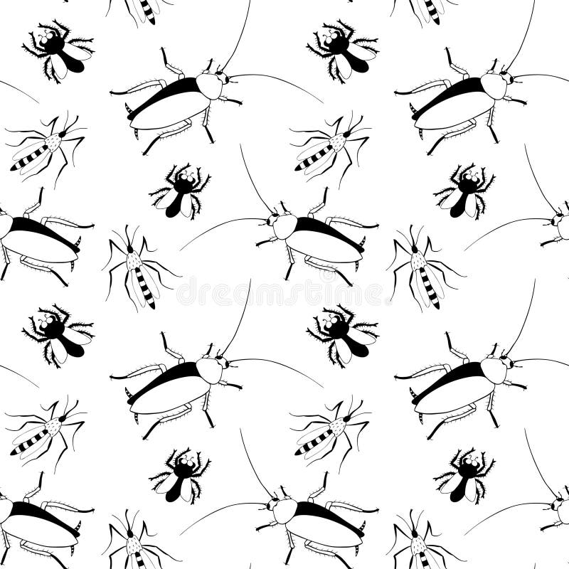 Cockroaches Insect White Background, Top View Beetles Pests. Parasite ...