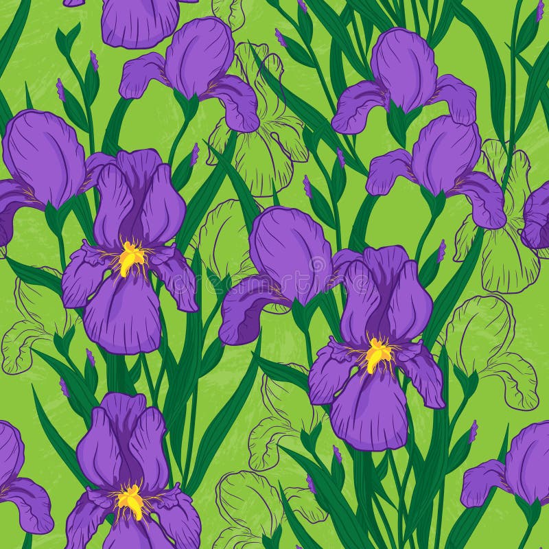 Seamless Pattern with Iris Flower Stock Illustration - Illustration of ...