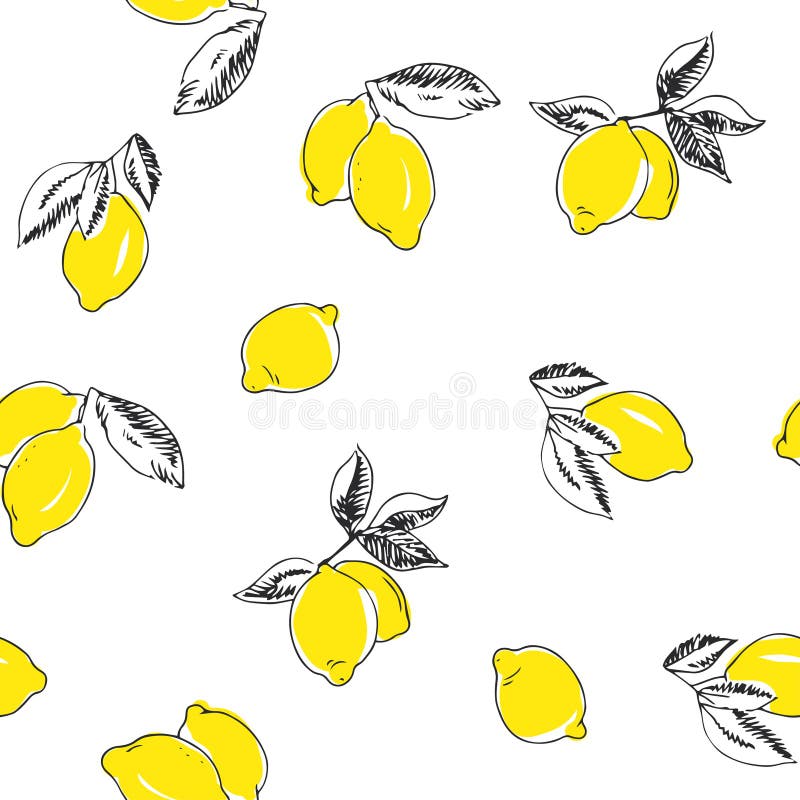 Vector Seamless Pattern with Lemons Isolated on White. Hand-drawn ...