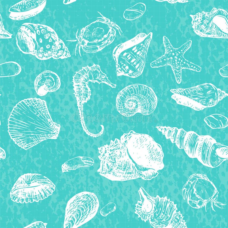 Seashell Line Drawing Stock Illustrations – 8,808 Seashell Line Drawing ...