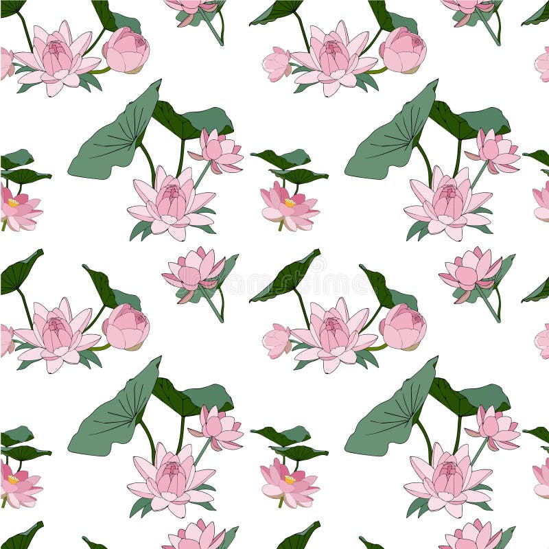 Vector Seamless Pattern Lotus Flowers Stock Vector - Illustration of ...