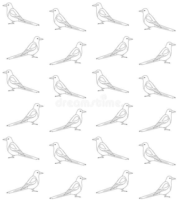 Vector Seamless Pattern of Magpie Bird Stock Vector - Illustration of ...