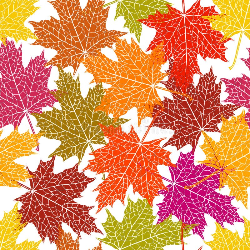 Vector Seamless Pattern of Maple Leaf Stock Vector - Illustration of ...