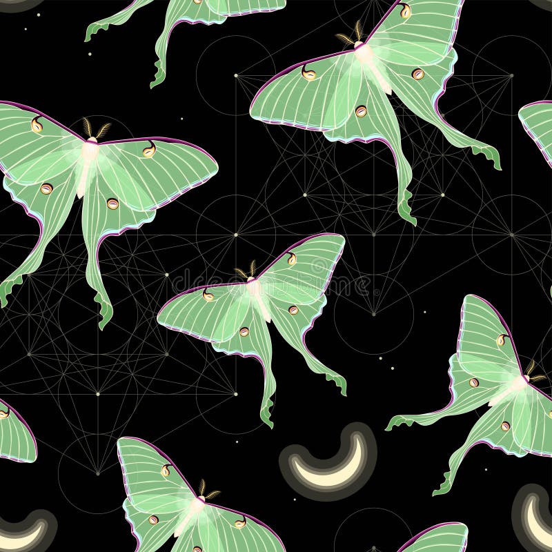 Moth Moon Pattern Stock Illustrations – 610 Moth Moon Pattern Stock ...