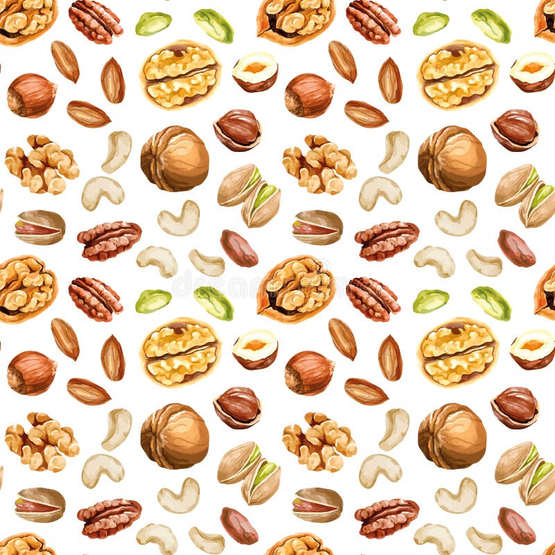 Vector Seamless Pattern with Nut Types Stock Vector - Illustration of ...