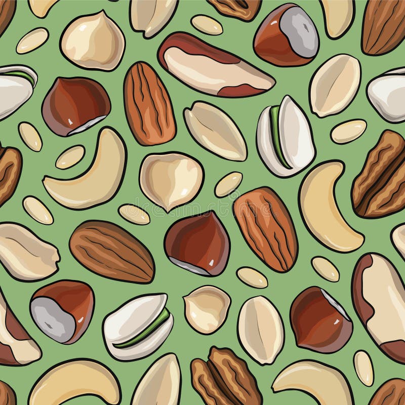 Vector Seamless Pattern Nuts. Stock Vector - Illustration of ingredient ...