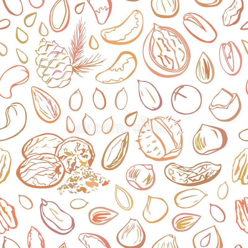 Vector Seamless Pattern Nuts and Seeds. Hand Drawn Elements with Brown ...