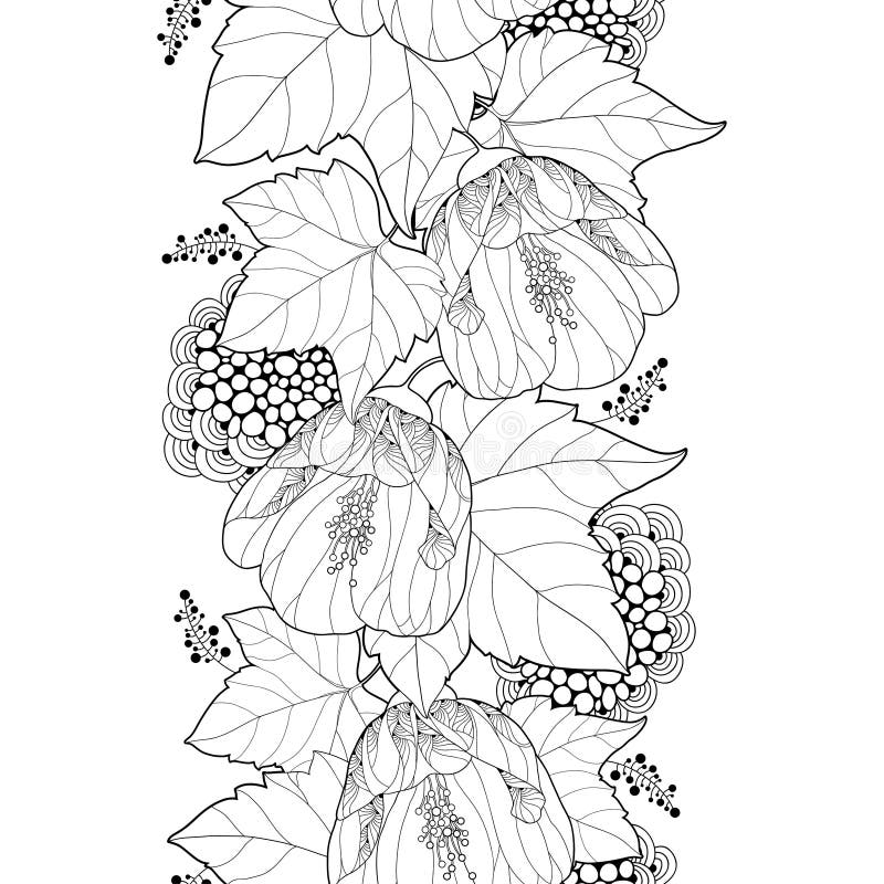 Vector Seamless Pattern with Outline Black Abutilon or Indian Mallow ...