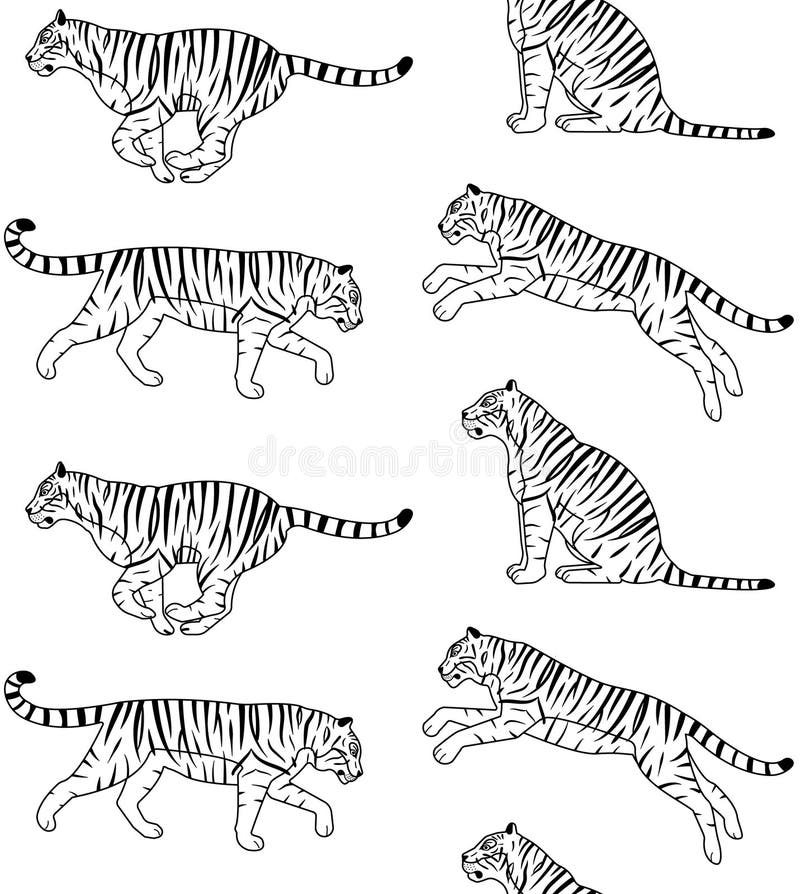 Vector Seamless Pattern of Outline Flat Tiger Stock Vector ...
