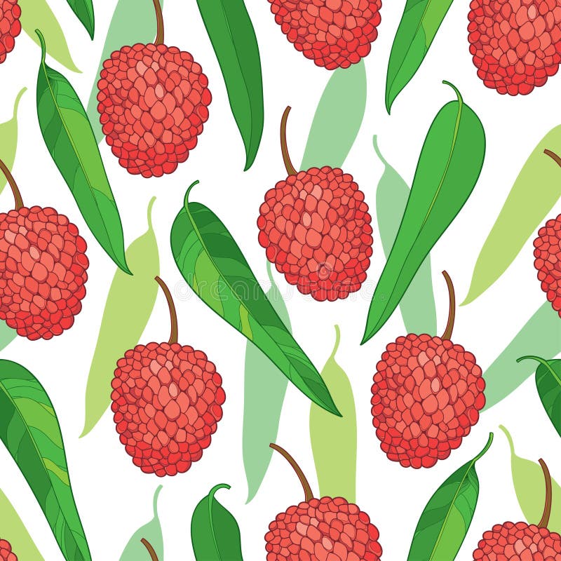 Lychee Outline Vector Stock Illustrations – 478 Lychee Outline Vector ...