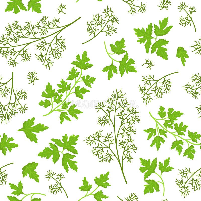 Vector Seamless Pattern of Parsley and Dill. Fresh Greenery Image Stock ...