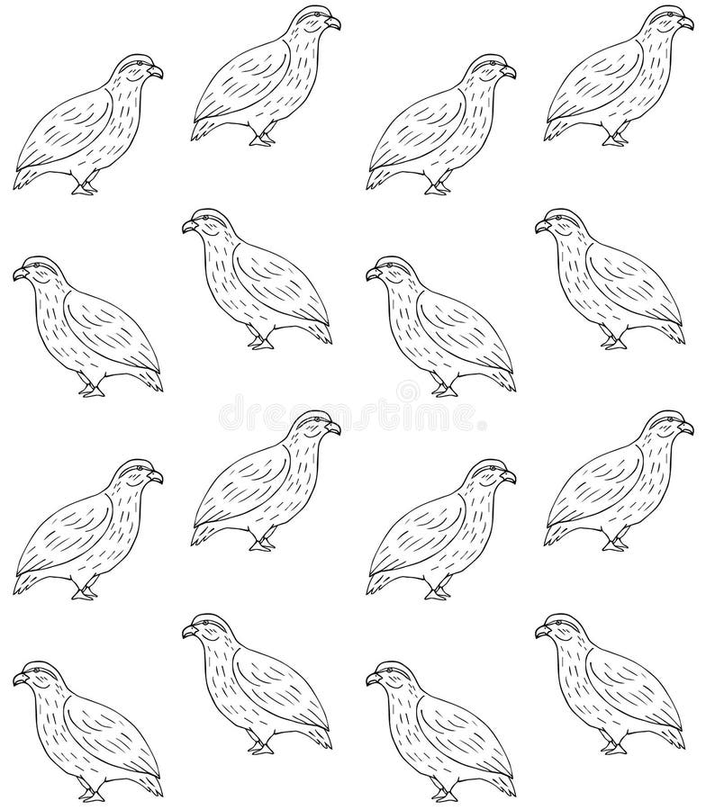 Vector Seamless Pattern of Partridge Bird Stock Vector - Illustration ...