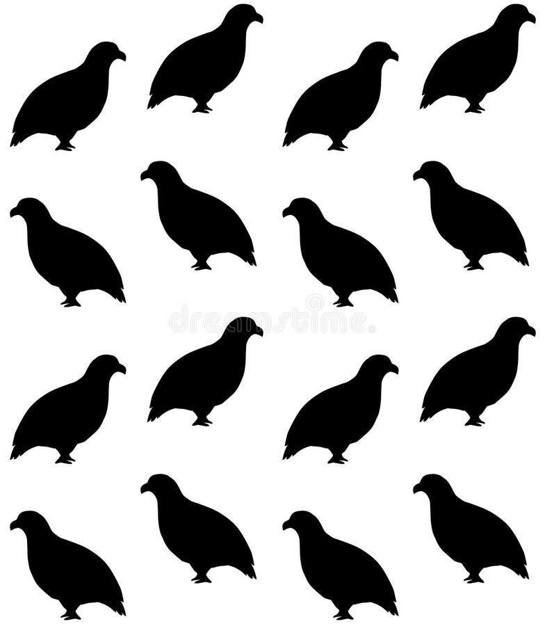 Vector Seamless Pattern of Partridge Bird Stock Vector - Illustration ...