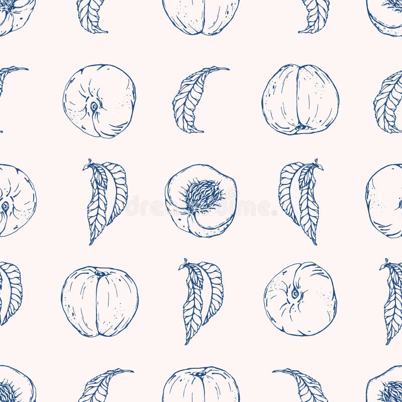 Vector Seamless Pattern with Peach. Hand Drawn Textures Stock Vector ...