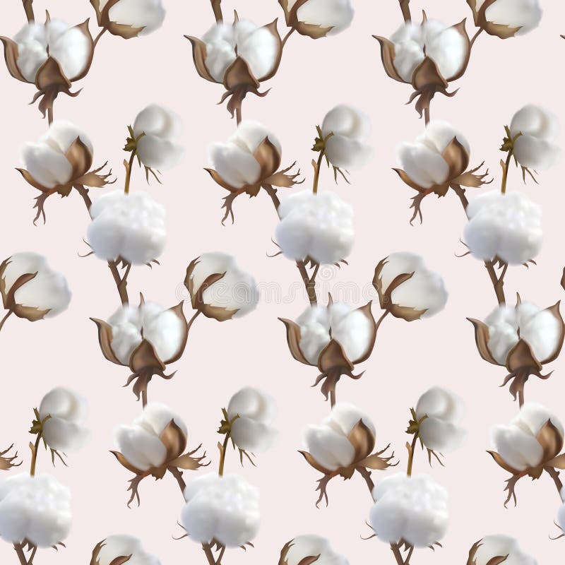 Cotton Flowers Seamless Pattern Stock Vector - Illustration of growth ...