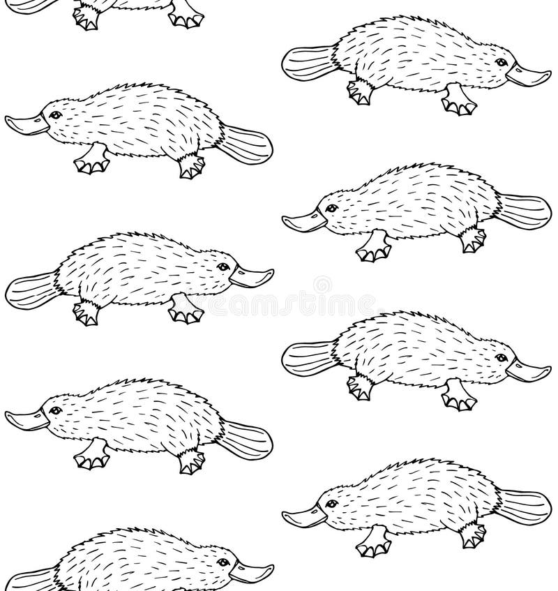 Platypus or Duckbill. Animals of Australia Series. Vector Art ...