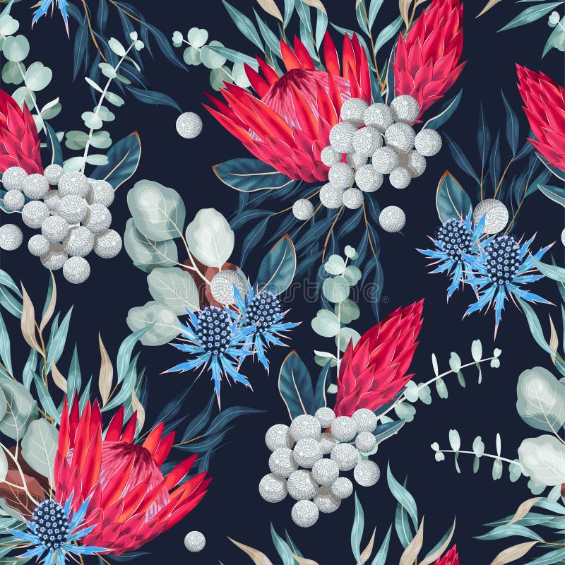 Vector Seamless Pattern with Protea and Greenery Stock Vector ...