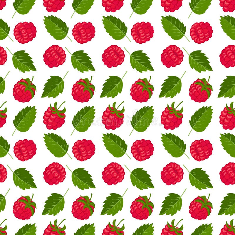 Vector Seamless Pattern with Raspberries. Summer Background, Wallpaper ...