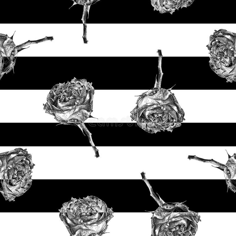 Vector Seamless Pattern with Rose Flower and Black Stripes Stock Vector ...