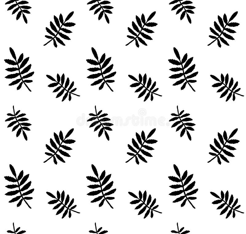 Vector Seamless Pattern of Rowan Leaf Silhouette Stock Illustration ...